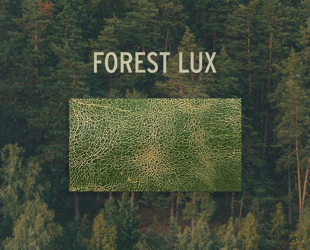 Forest Finish 2025 – Bed|Stü